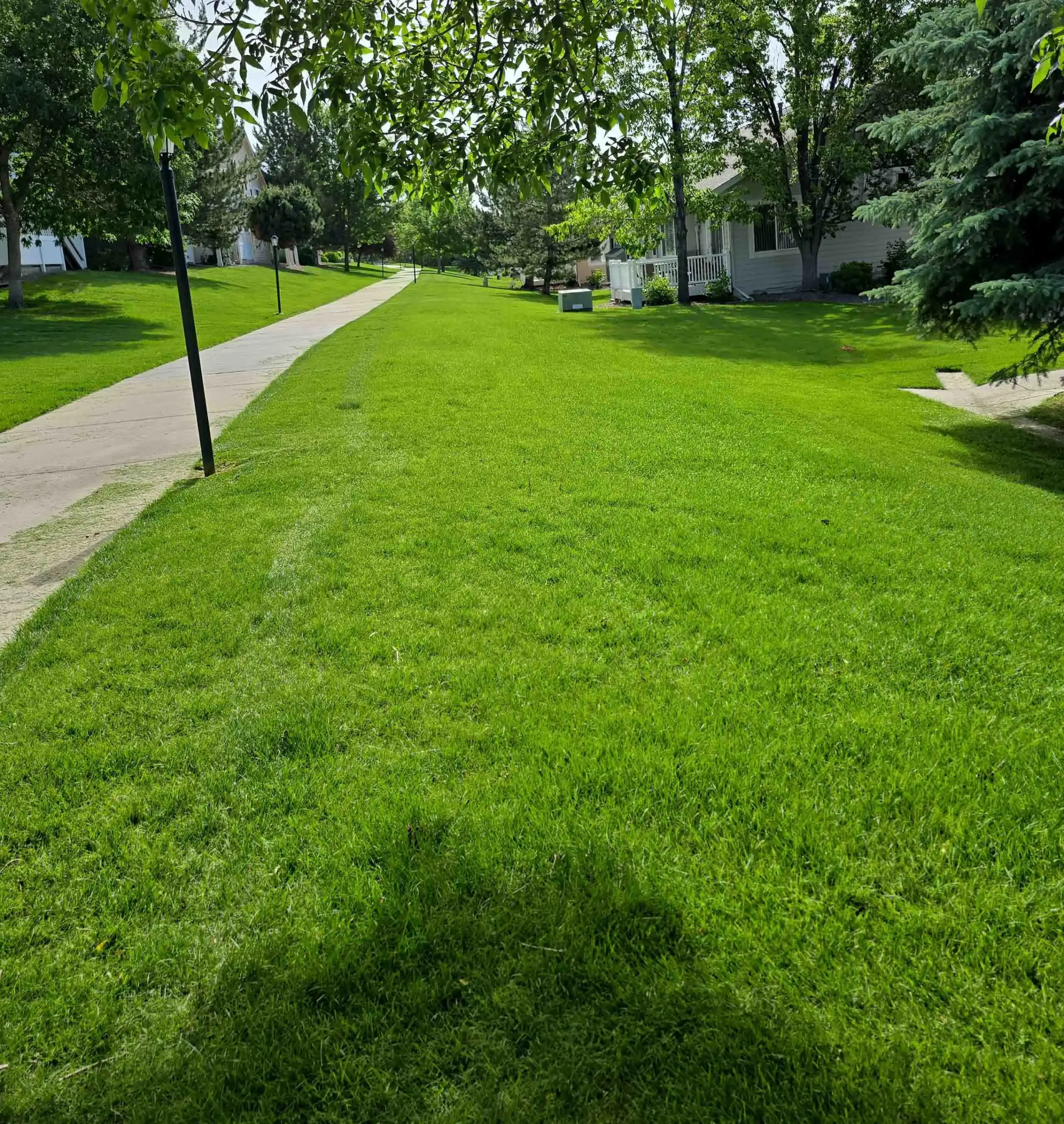 Industry Leading Denver, CO Commercial Landscaping Company