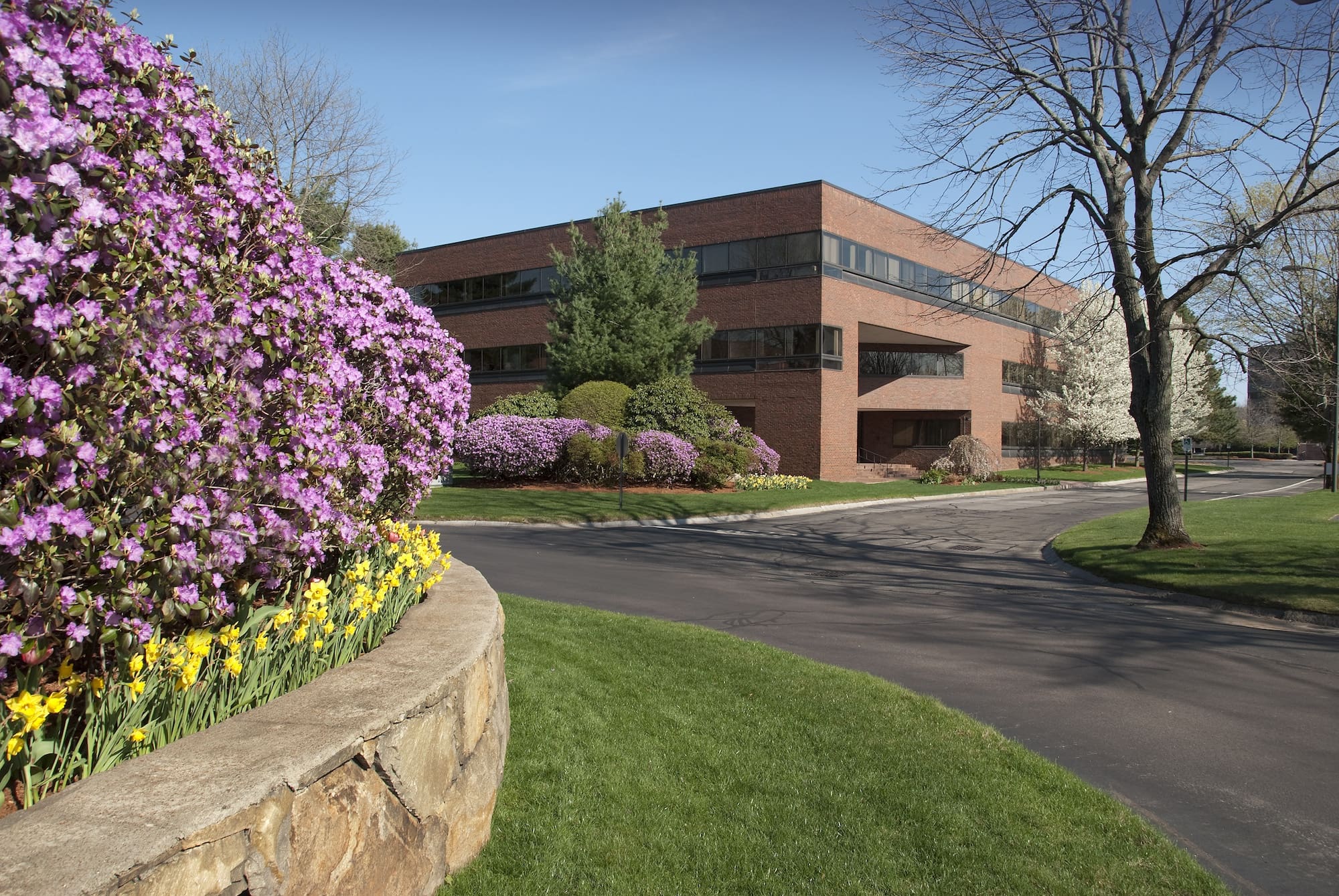 Leader Among Denver, CO Commercial Landscaping Companies